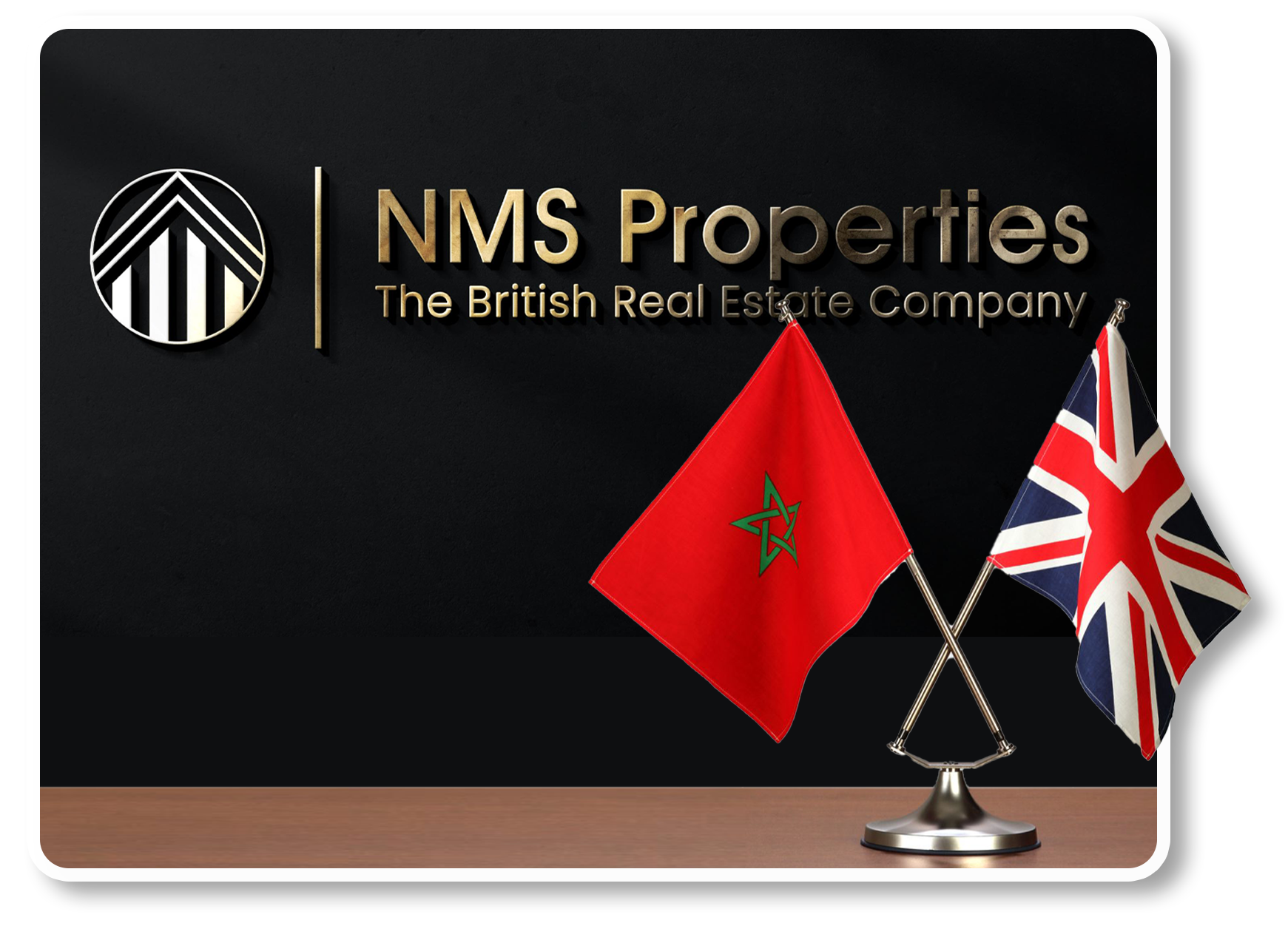 NMS INVESTMENT - NMS Investment